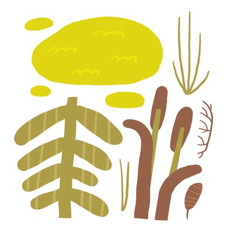 200 Morass Stock Illustrations Royalty Free Vector Graphics And Clip