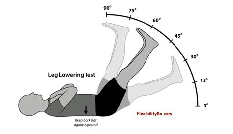 Fitnessassessment Flexibilityrx Performance Based Flexibility Training