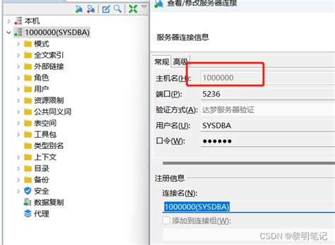 达梦服务名使用达梦数据库服务名 Csdn博客