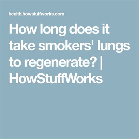 How Long Does It Take Smokers Lungs To Regenerate Smokers Lungs Lunges Regeneration