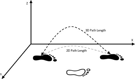 Diagram Of 2d And 3d Path Length Trajectory During A Stride Download
