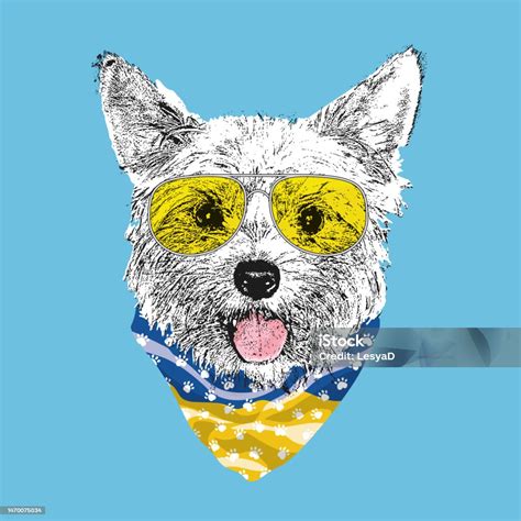 요크셔 테리어 초상화 안경과 우크라이나 국기 두건에 귀여운 멋진 개 벡터 일러스트 레이 션 개에 대한 스톡 벡터 아트 및 기타 이미지 Istock