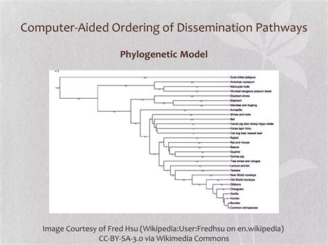 Mapping Implicit Processes Extracting Social Networks From Digital Corpora Ppt