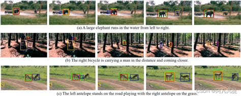 co grounding networks with semantic attention for referring expression