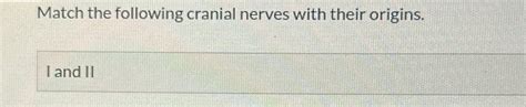 Solved Match The Following Cranial Nerves With Their Chegg Com