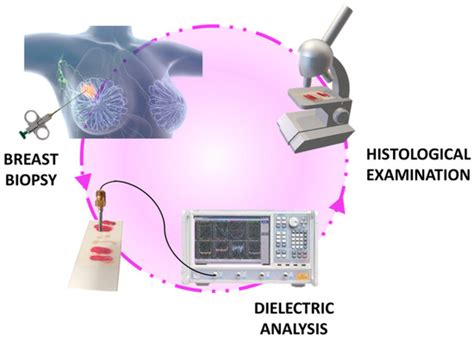 Dielectric Characterization Of Breast Biopsied Tissues As Pre