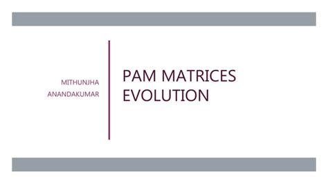 Pam Matrices Evolution Pptx