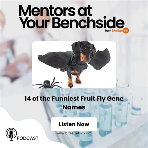 Mentors At Your Benchside Funny Fruit Fly Gene Names
