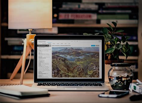 Software Luna Imaging Inc