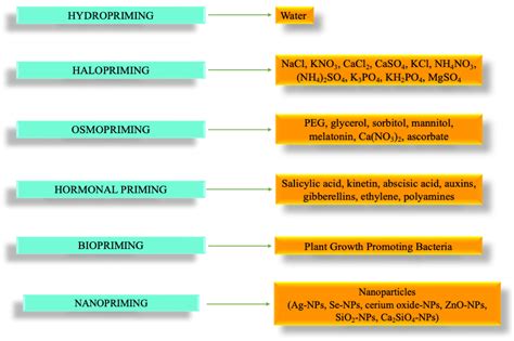 The Utilization Of Seed Priming As A Tool To Overcome Salt And Drought Stresses Is Still A Long