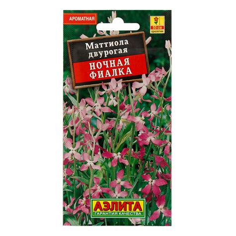 "Аэлита" Семена Маттиола Ночная фиалка 0,5г 00-00579637 купить за 39,00 ...