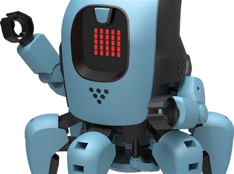 A Challenging Kit For Tweens