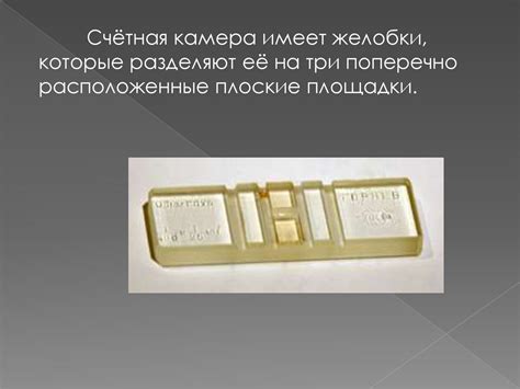 Строение счётной камеры Горяева - online presentation