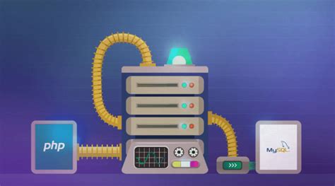 Mysql Workbench Là Gì Cách Cài đặt Và Sử Dụng Mysql Workbench