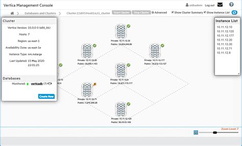 viewing and managing your cluster vertica 11 1 x