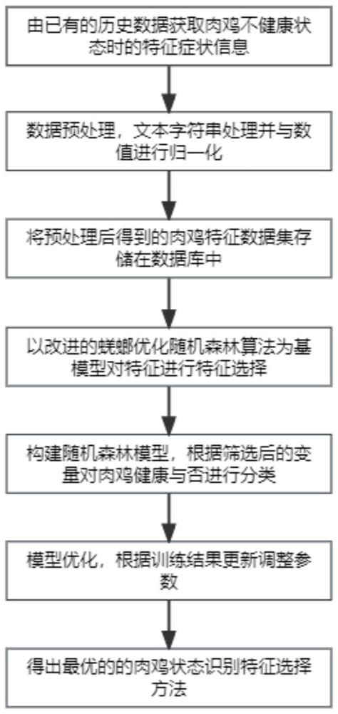 一种基于蜣螂优化算法的肉鸡健康状态识别方法