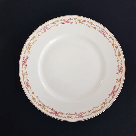 Bernardaud Limoges Dinner Plates 95 Inch Set Of 4 Pink Rose Vines