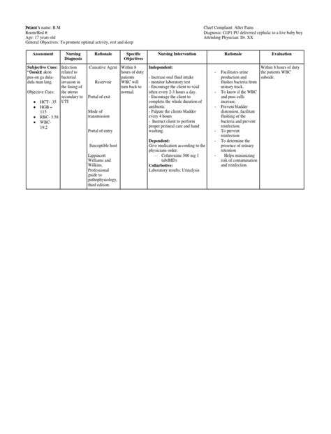Post Partum Care Plan Ncp Pdf Urinary Tract Infection Postpartum