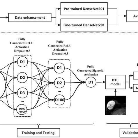 Illustration Of The Deep Transfer Learning Dtl Architecture The Download Scientific Diagram