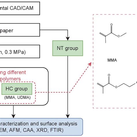 Experimental Diagram And The Chemical Structures Of Functional Monomers Download Scientific