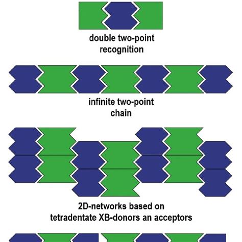 Schematic Representation Of The Different Halogen Bonding Motifs Which
