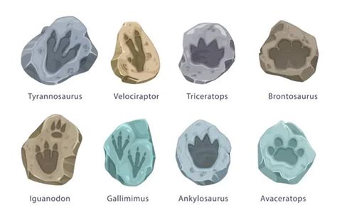 고대 공룡 발자국 발자국 화석 벡터 디노 단계 만화 Png 일러스트 및 벡터 에 대한 무료 다운로드 Pngtree
