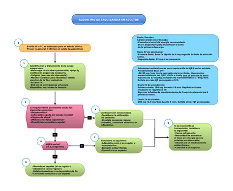Algoritmo Taquicardia En Adultos Pdf Drogas Causas De La Muerte Algoritmo Taquicardia En Adultos Pdf Drogas Causas De La Muerte