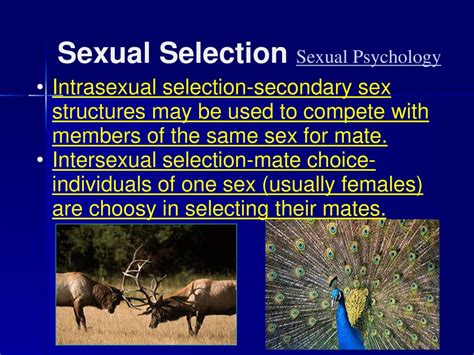 Biology I Chapters Ppt Download