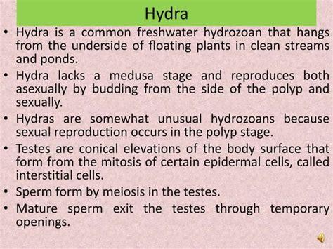 13 Class Hydrozoa With Clear Explanation Only On Slide Share Free Pptx