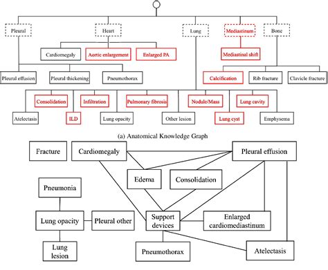 Figure 2 From Interpretable Medical Image Visual Question Answering Via Multi Modal Relationship