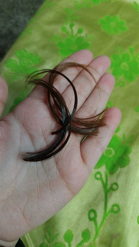 Full Moon And Hair Cutting Rwitch