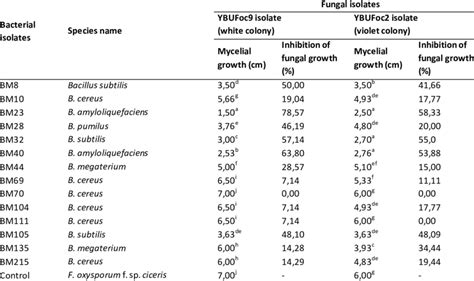 Inhibition Potential Of Bacillus Spp Isolates On Mycelial Growth