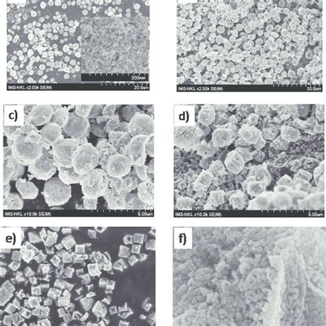 Raman Spectra Of Cuo Tio 2 In A Core Shell Structure And B Download Scientific Diagram