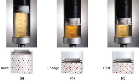 Factors That Affect Equilibrium