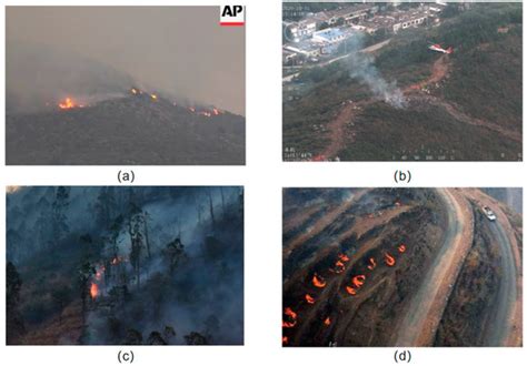 A Small Target Forest Fire Detection Model Based On Yolov Improvement