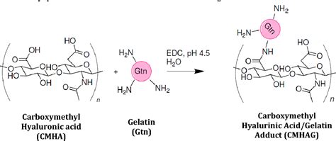 Figure 1 From Characterization Of Tetraethyl Orthosilicate Based Dynamic Hydrogels For Use As