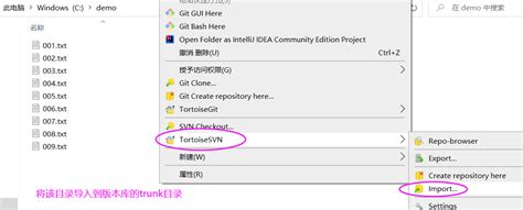 【转】svn Branch和tag相关用法 Sgggr 博客园
