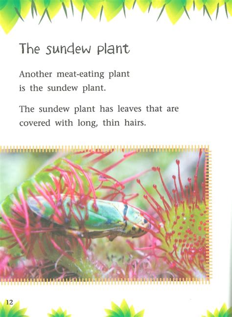 Meat Eating Plants Engage Reading Chest