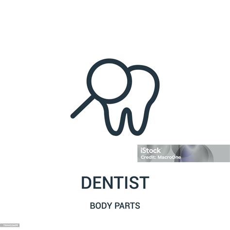 신체 부위 컬렉션에서 치과 아이콘 벡터입니다 얇은 라인 치과 개요 아이콘 벡터 일러스트 레이 션입니다 건강관리와 의술에 대한 스톡 벡터 아트 및 기타 이미지 Istock
