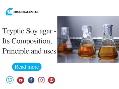 Mueller Hinton Agar Its Composition Uses And Preparation