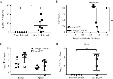 Interferon Gamma Ifn γ Is Necessary For Maintaining Protection During Download Scientific