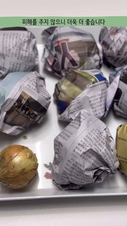 양파를 오랫동안 쉽게 보관하는 방법 양파 양파보관 Youtube