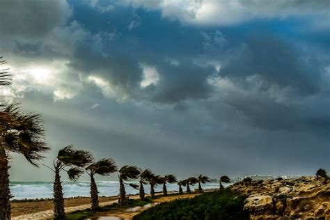 surface wind speed and direction