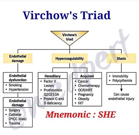 Virchows Triad Virchow Triad