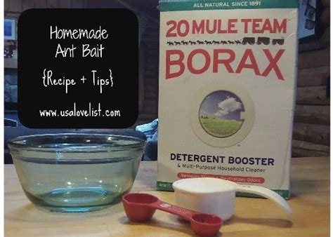 How To Get Rid Of Ants With Diy Ant Bait Using Safe Made In Usa