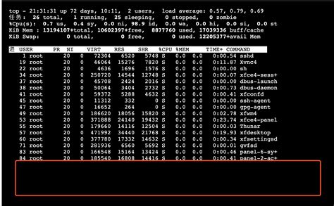 enter top or htop xterm only displays half · issue 2769 · xtermjs