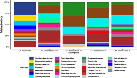 Dominant Bacteria Genera Across The Bacterial Microbial Communities Of Download Scientific