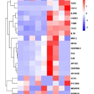 Hierarchical Clustering Of The Top 20 Differentially Expressed DE