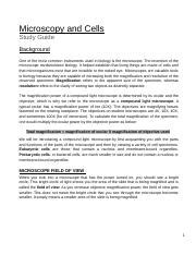Lab Microscopy Study Guide Docx Microscopy And Cells Study Guide Background One Of The