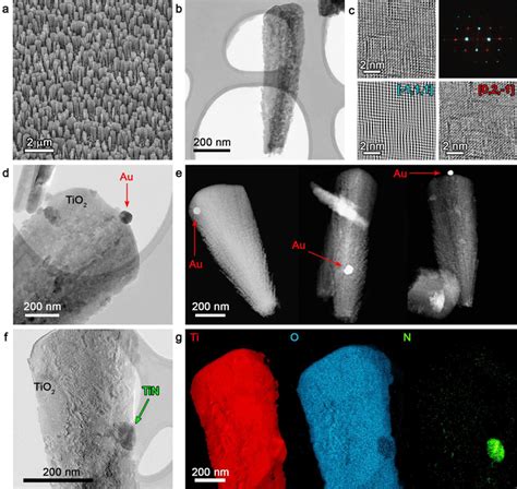 Morphology Of Bare And Np Loaded Tio 2 Nanowire Array A Sem Image Download Scientific Diagram
